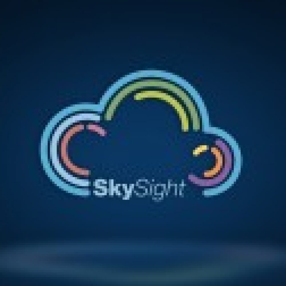 skysight-300×126 – TBK Consult